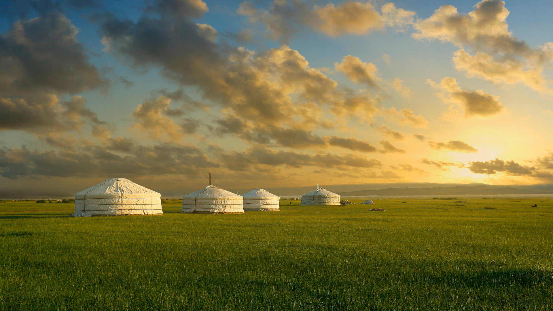 Bing image: Yurtas en los pastizales de Mongolia - Bing Wallpaper Gallery Bing image: Yurtas en los pastizales de Mongolia - Bing Wallpaper Gallery